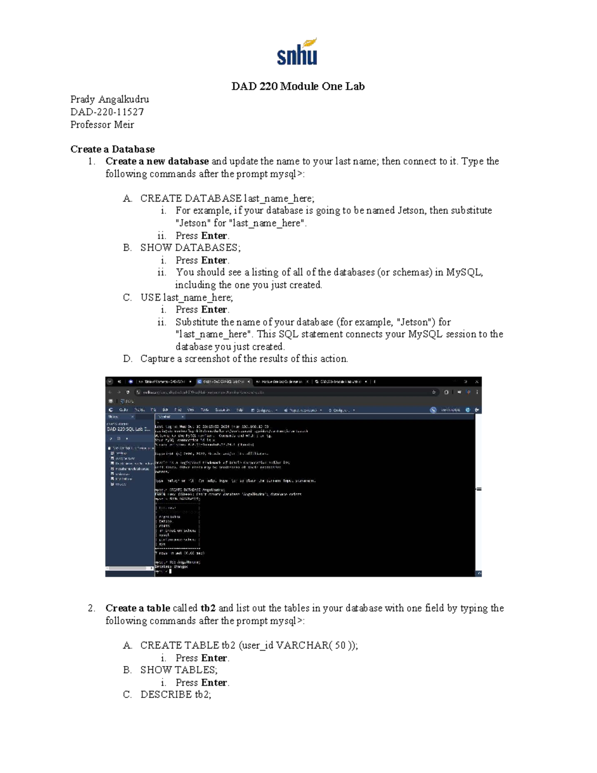 DAD M1 - Module 1 - DAD 220 Module One Lab Prady Angalkudru DAD-220 ...