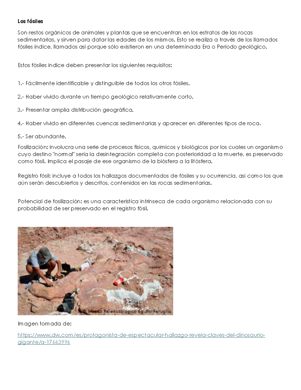 Fósiles - Habla acerca de los fosiles - Los fósiles Son restos ...