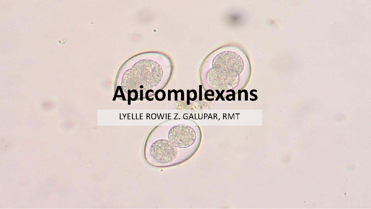 Apicomplexans Overview: Characteristics, Life Cycle, and Diseases - Studocu