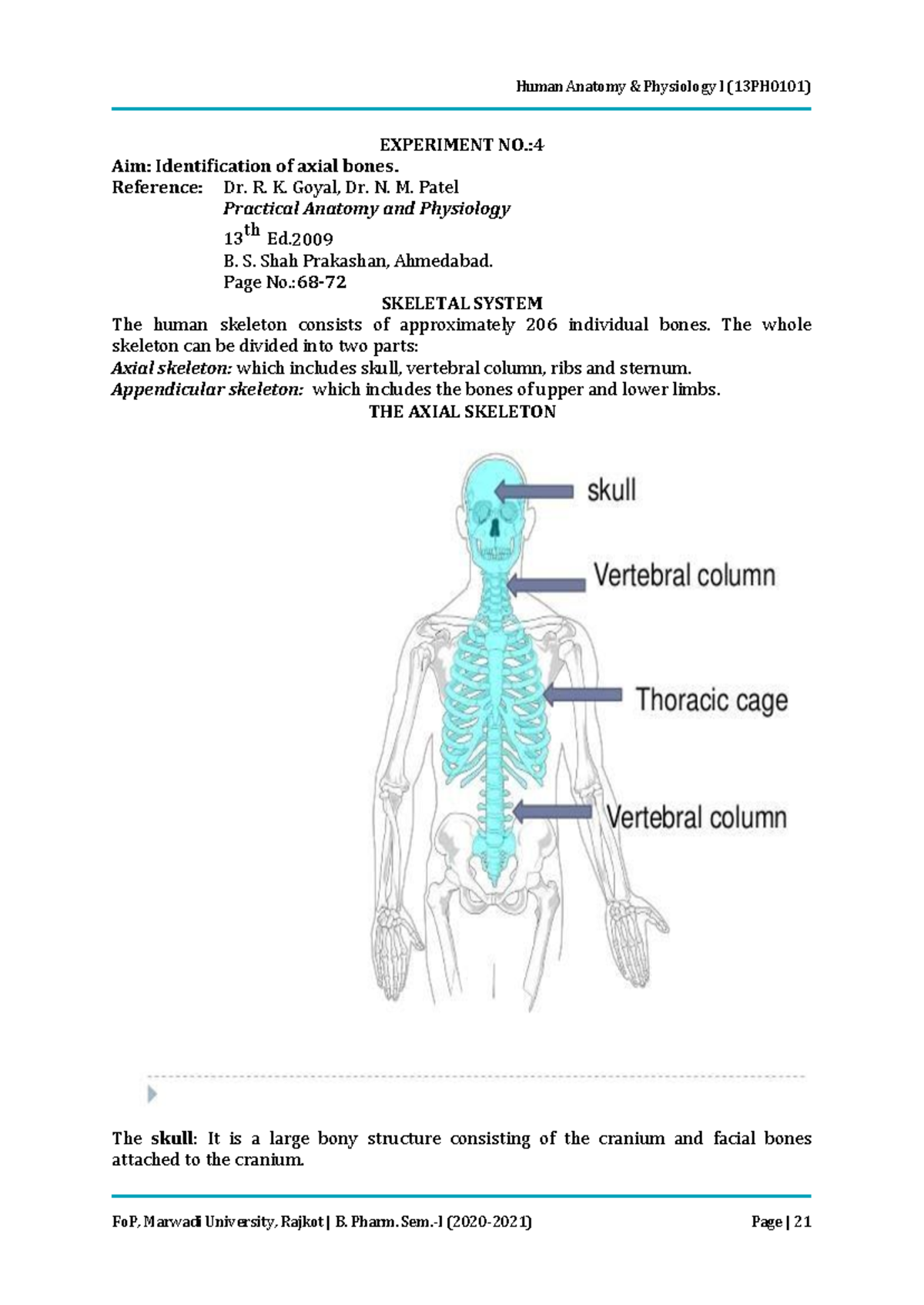 Identification of Axial Bones in Human Skeleton (Practical Anatomy ...