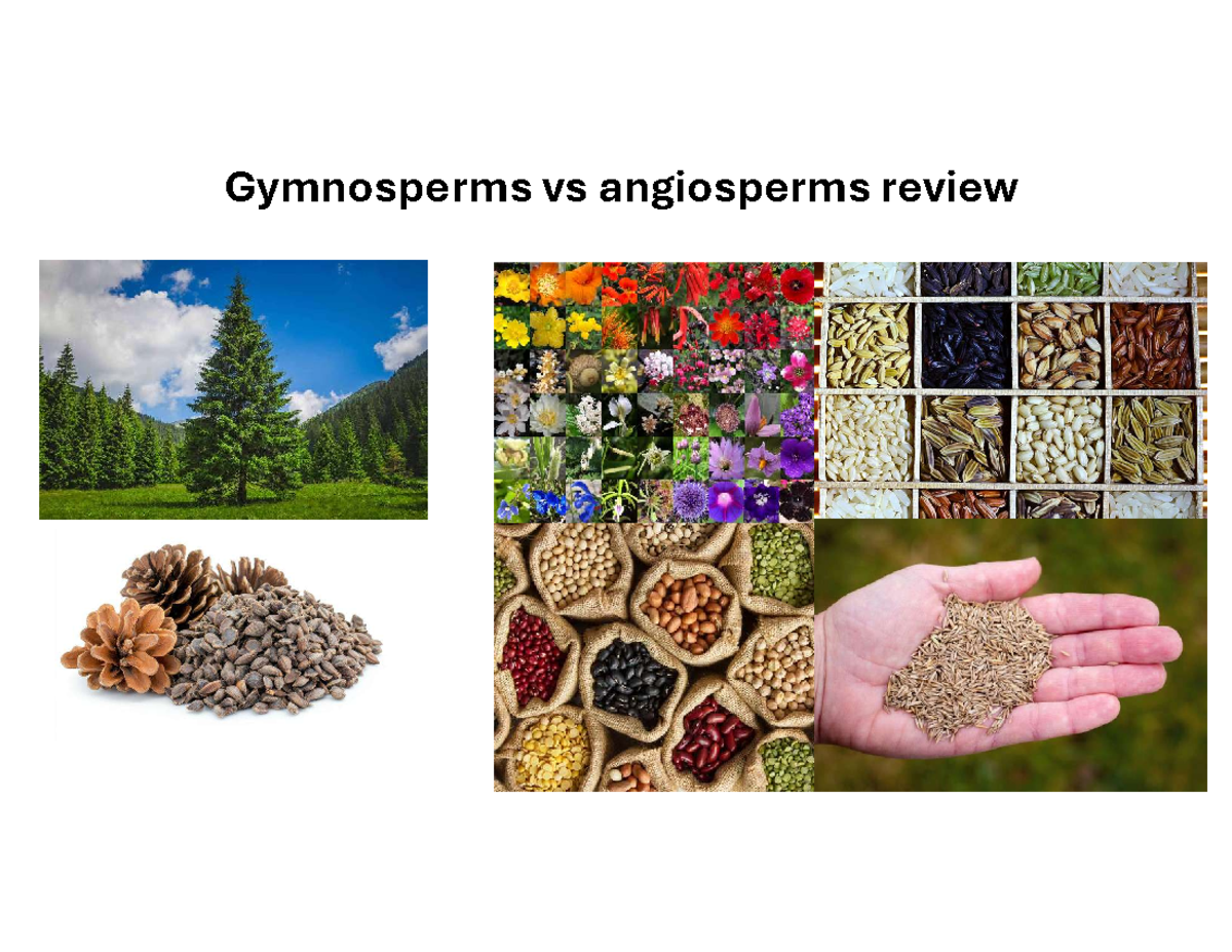CRSS 2010: Lecture 04 & 05 - Gymnosperms vs. Angiosperms Classification ...