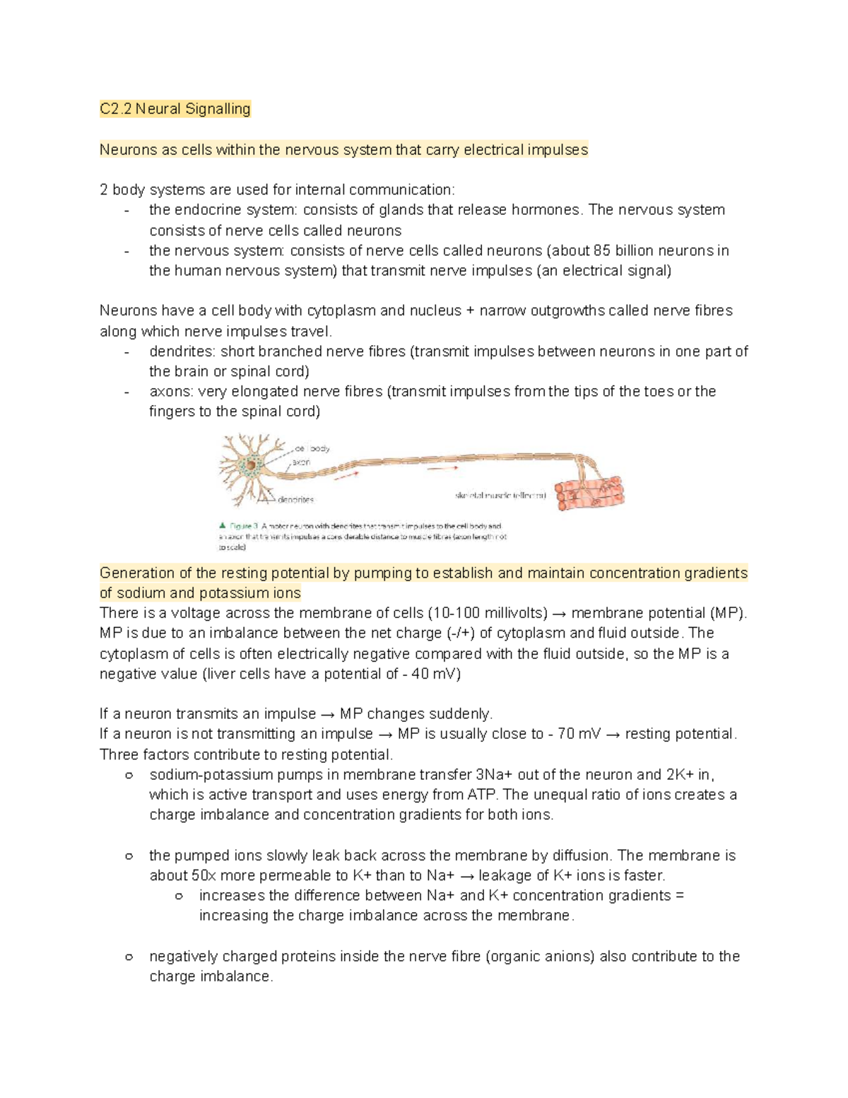 C2.2 Neural Signalling: Understanding Neurons and Action Potentials ...