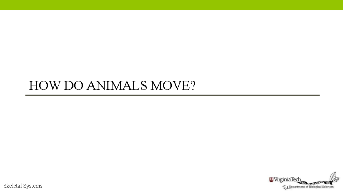 How Do Animals Move? - Skeletal Systems Overview - Studocu