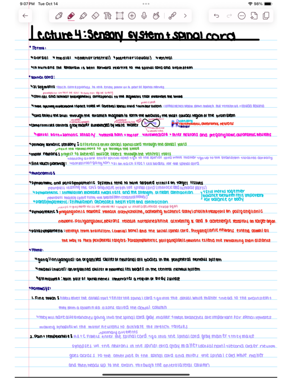 Lecture 4: Sensory System and Spinal Cord Overview - Studocu