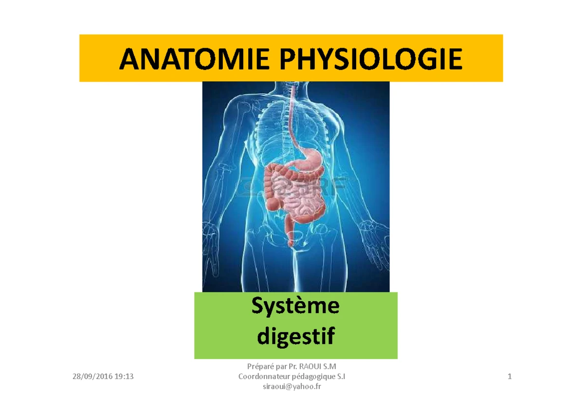 Appareil respiratoire - Anatomie générale de l’appareil respiratoire ...