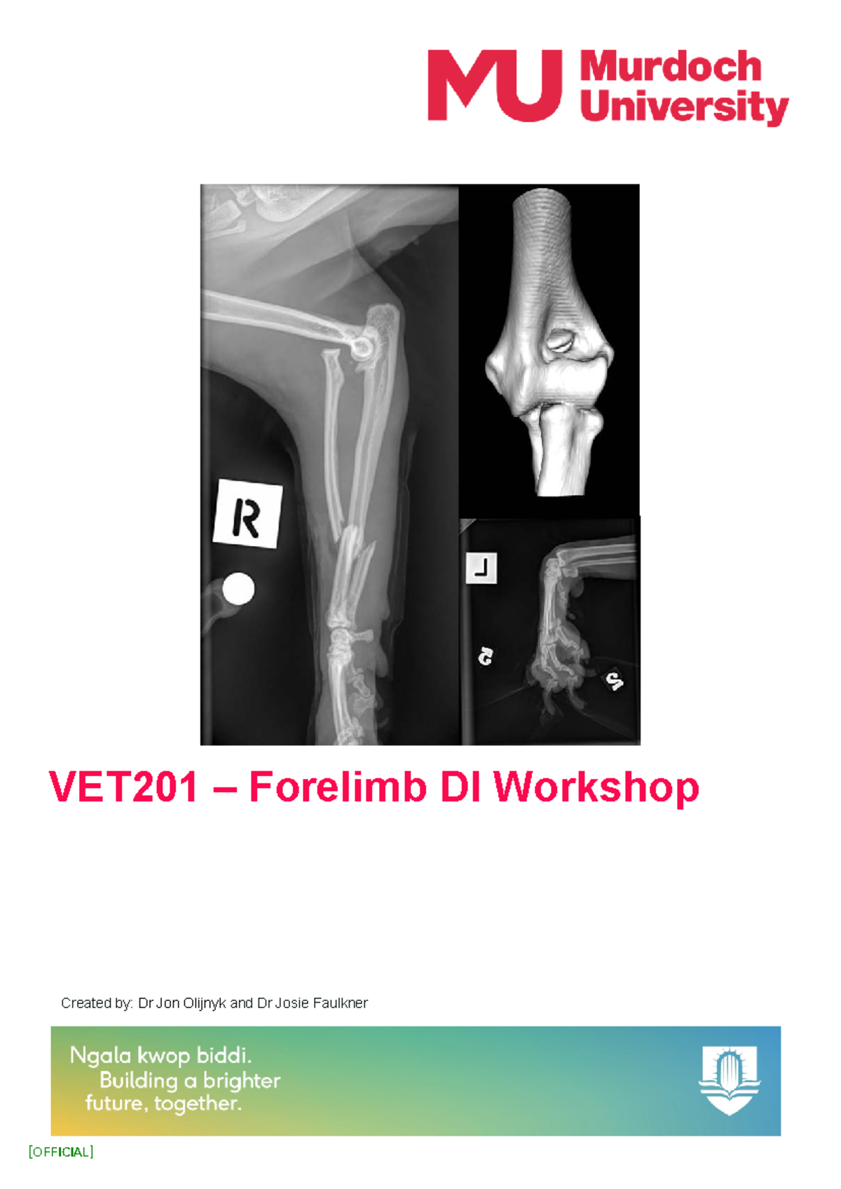 VET201 Forelimb Anatomy DI Workshop Worksheet - Studocu