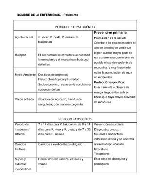 Modelo Unico DE Evaluacion DE LA Calidad - MODELO ÚNICO DE EVALUACIÓN ...