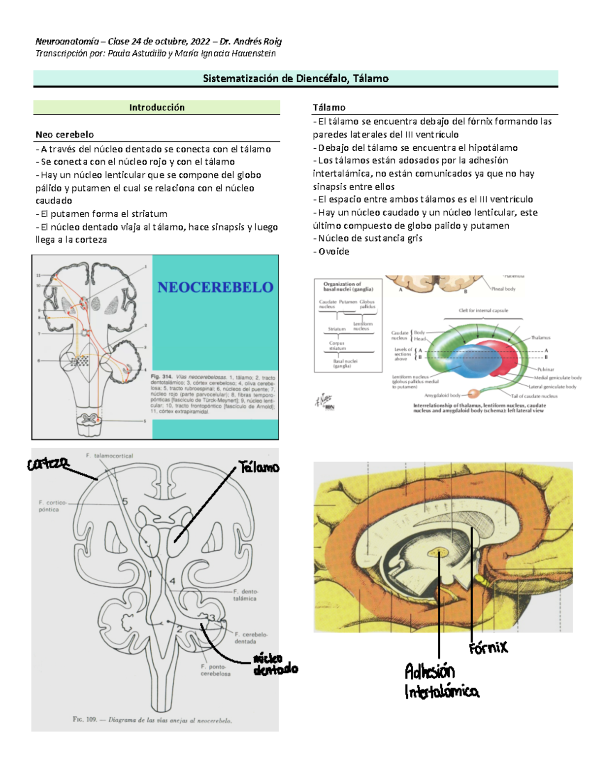 Adhesión Intertalámica
