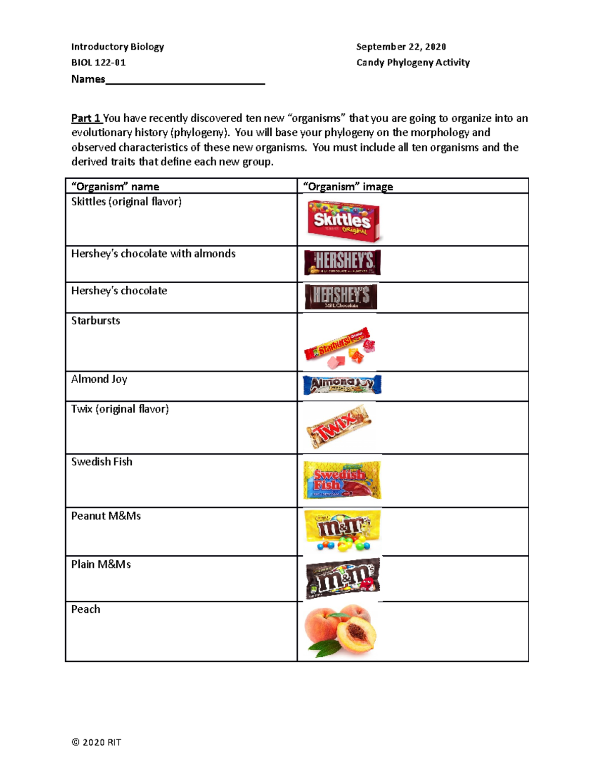 Candy Phylogeny Worksheet - Introductory Biology September 22, 2020 ...
