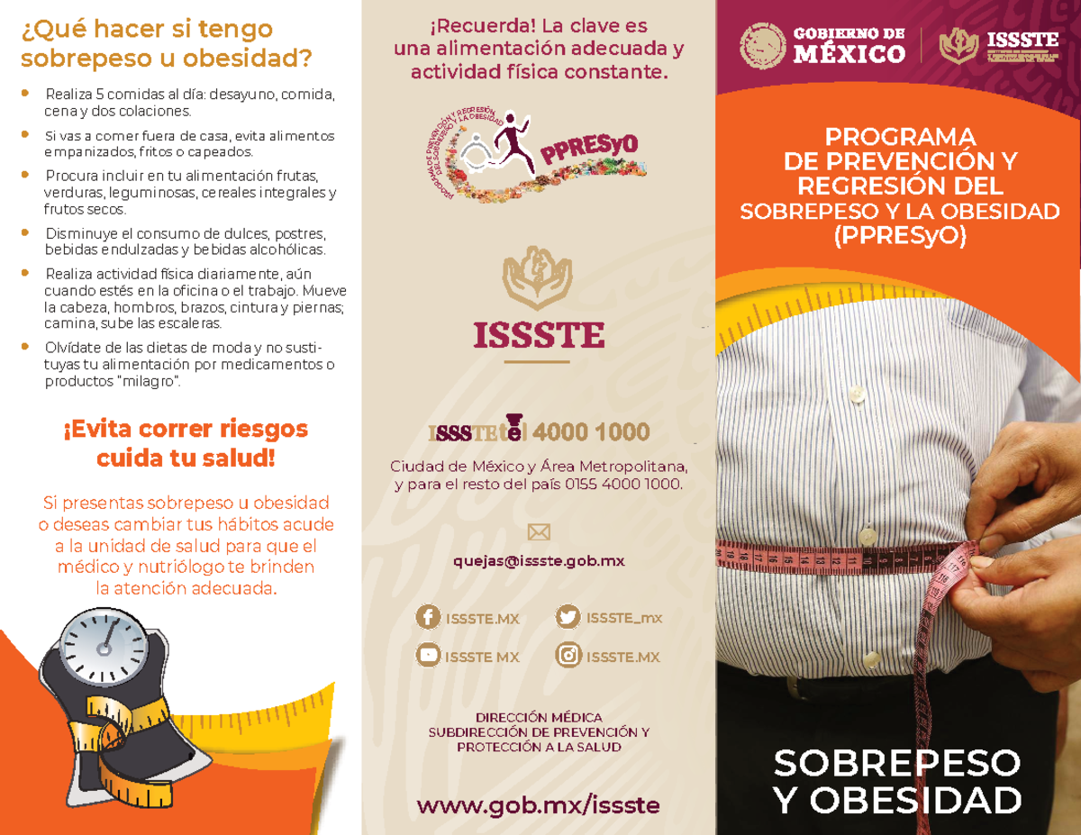 Tríptico sobre Sobrepeso y Obesidad: Prevención y Hábitos Saludables ...