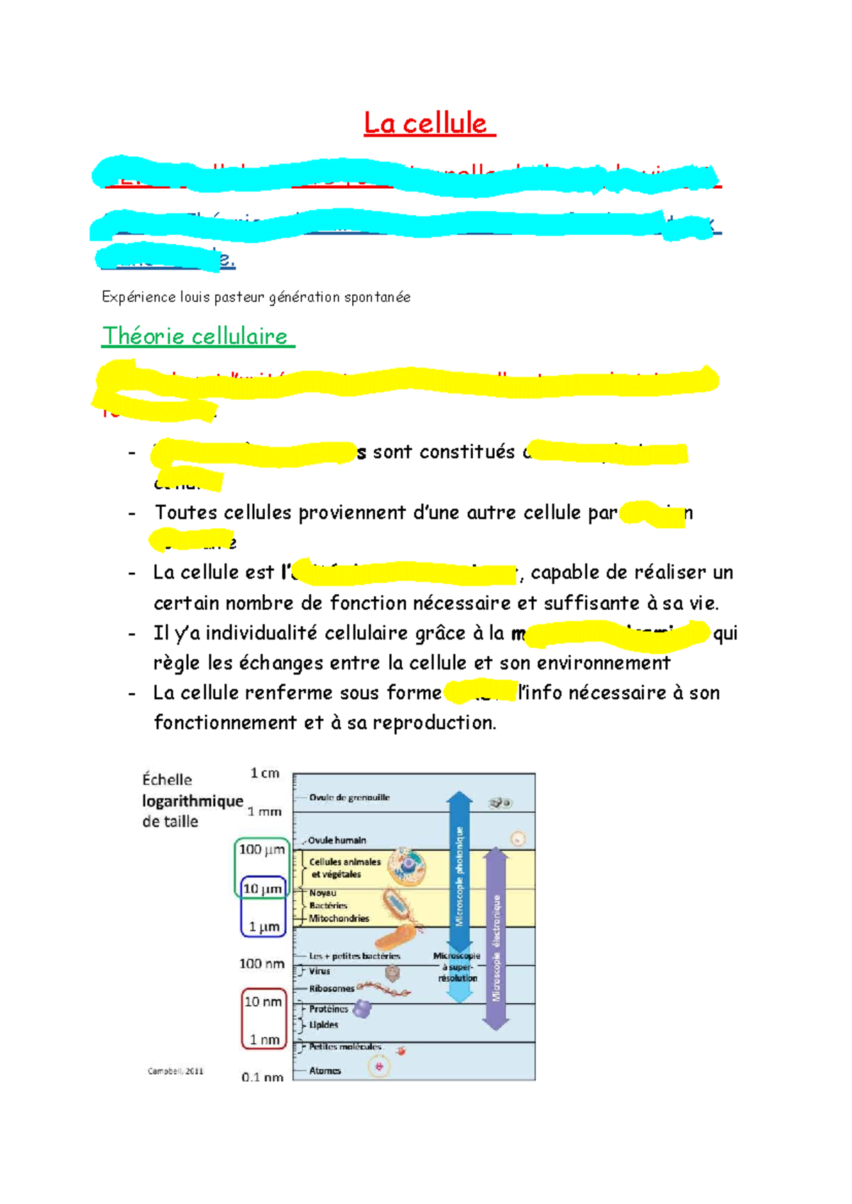Cours sur la Cellule 1.2 : Théorie et Fonctionnalités de Base - Studocu