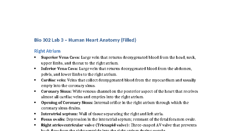 Bio 302 Lab 3 Human Heart Anatomy Overview (Filled) - Studocu