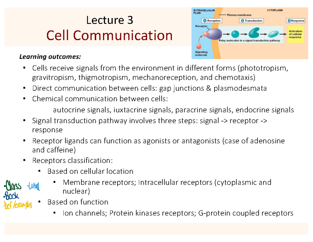 Understanding Cell Communication: Signal Types & Mechanisms (BIO 300) - Studocu