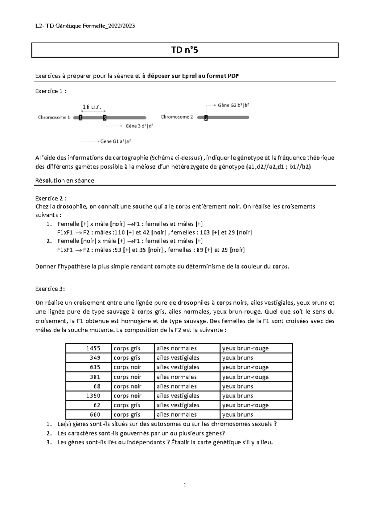 Poly TD G1 2023 TD5 bis - Poly TD G1 2023 TD5 SUJET - L2- TD Génétique Formelle_2022/ 1 TD n ...