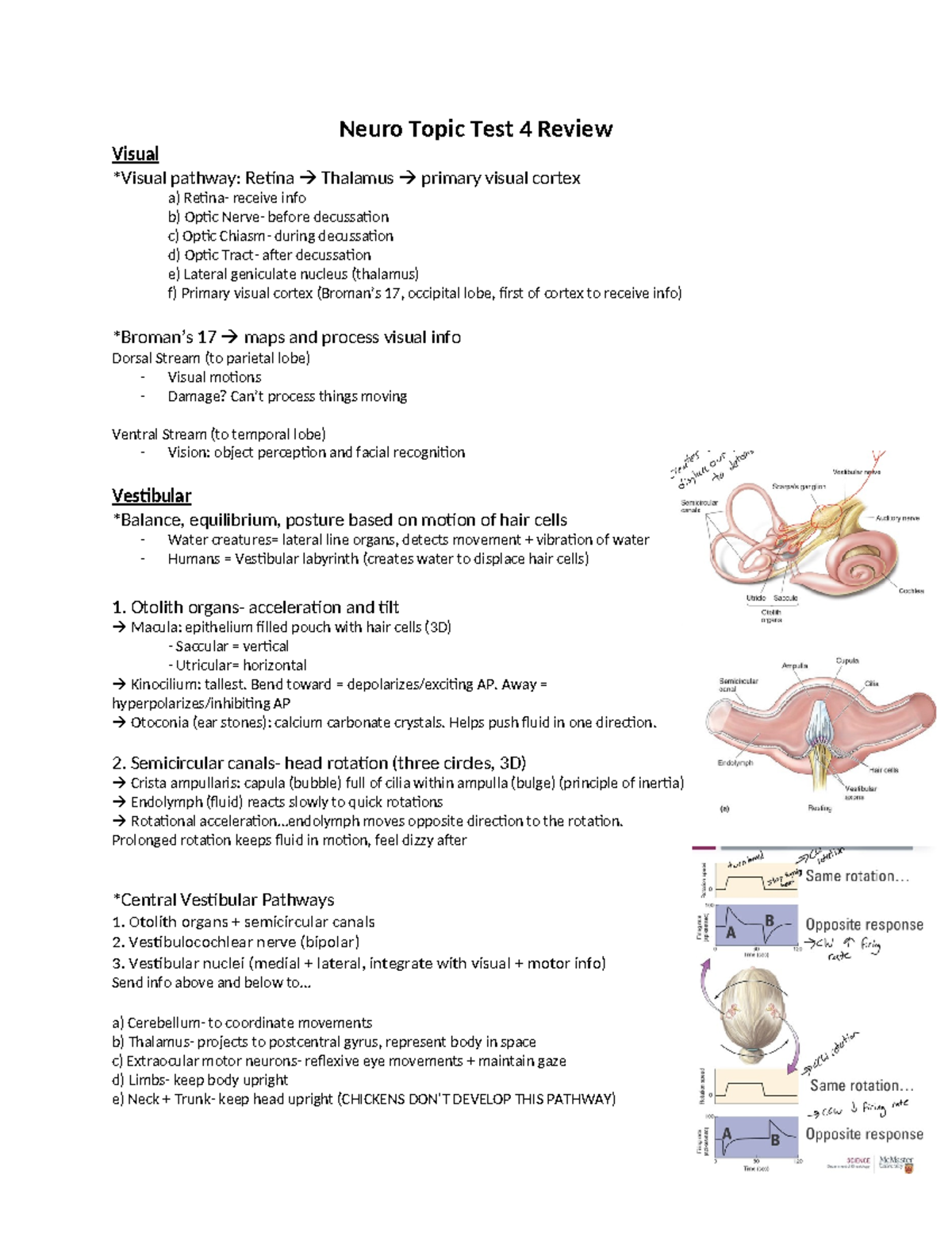 Neuro Quiz 4 Review - Lecture notes - Neuro Topic Test 4 Review Visual ...