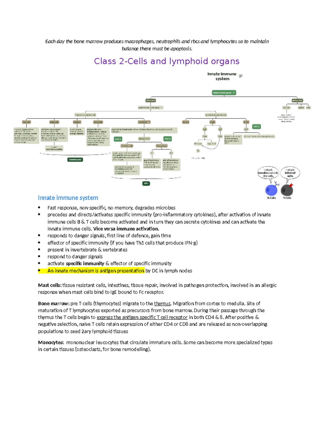 Immunology Notes: Understanding the Innate and Adaptive Immune Systems ...