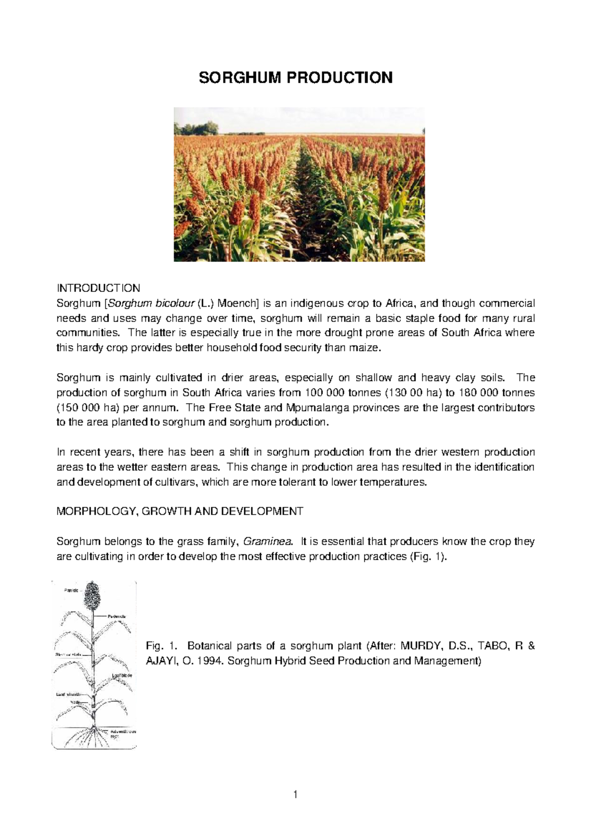 Sorghum Production Guide: Cultivation Techniques and Practices - Studocu