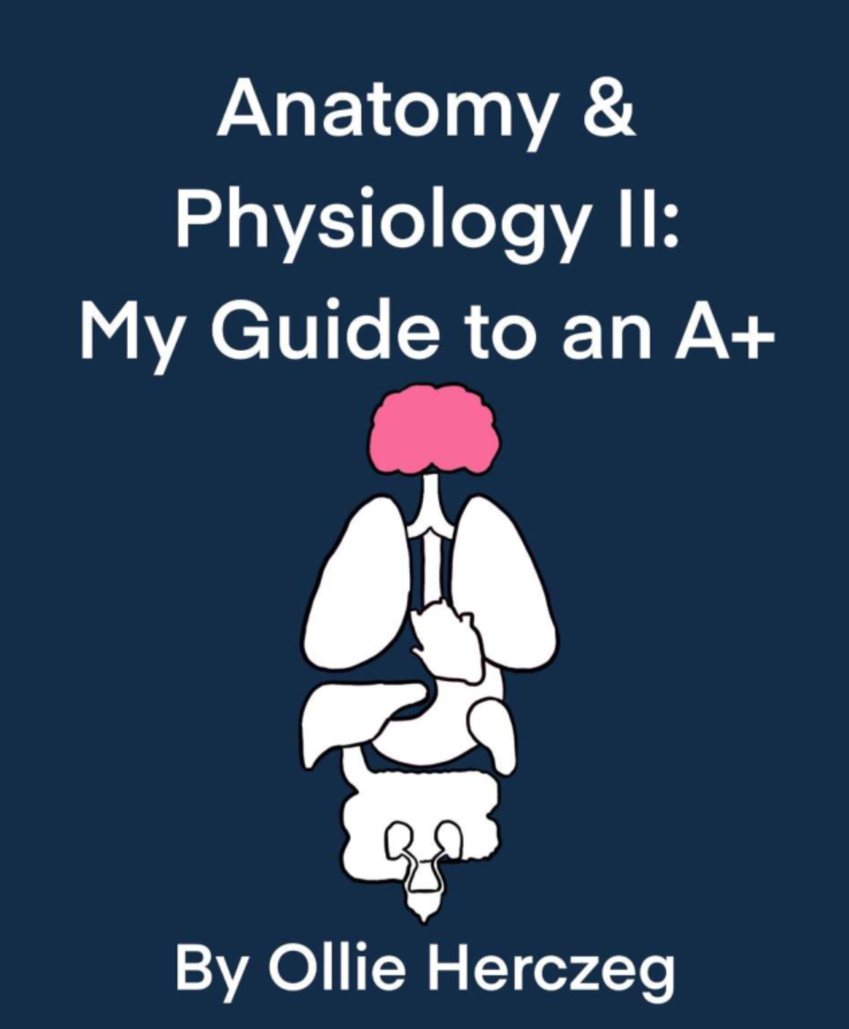 Anatomy Physiology II: Chapter 17 Endocrine System Overview and Key ...