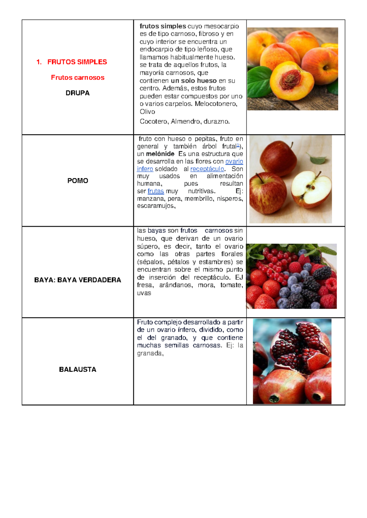 Clasificación de los Frutos: Frutos Simples y Compuestos - Biología 101 ...