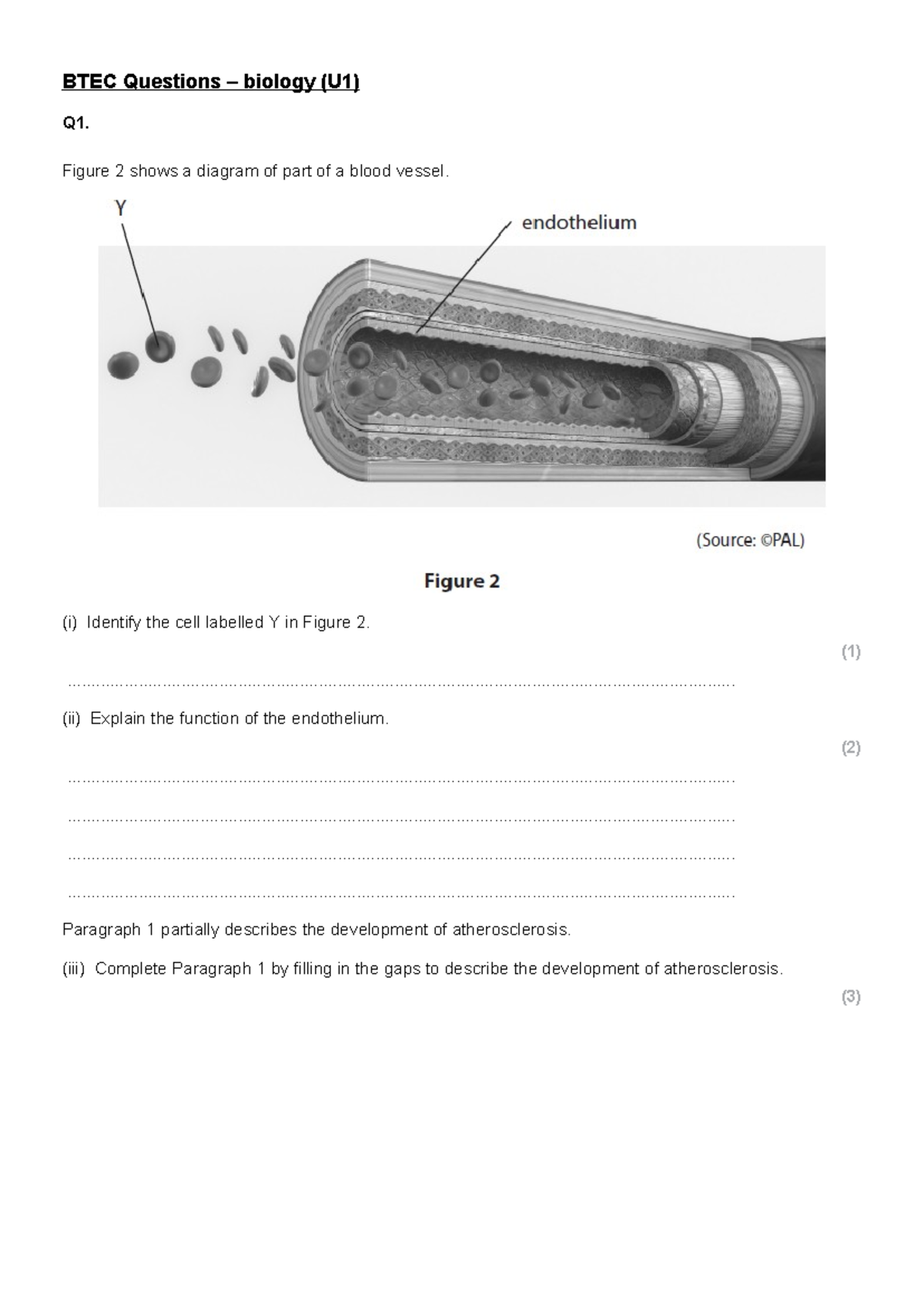 Biology Exam Paper (BTEC U1) - Atherosclerosis & Cell Structure - Studocu