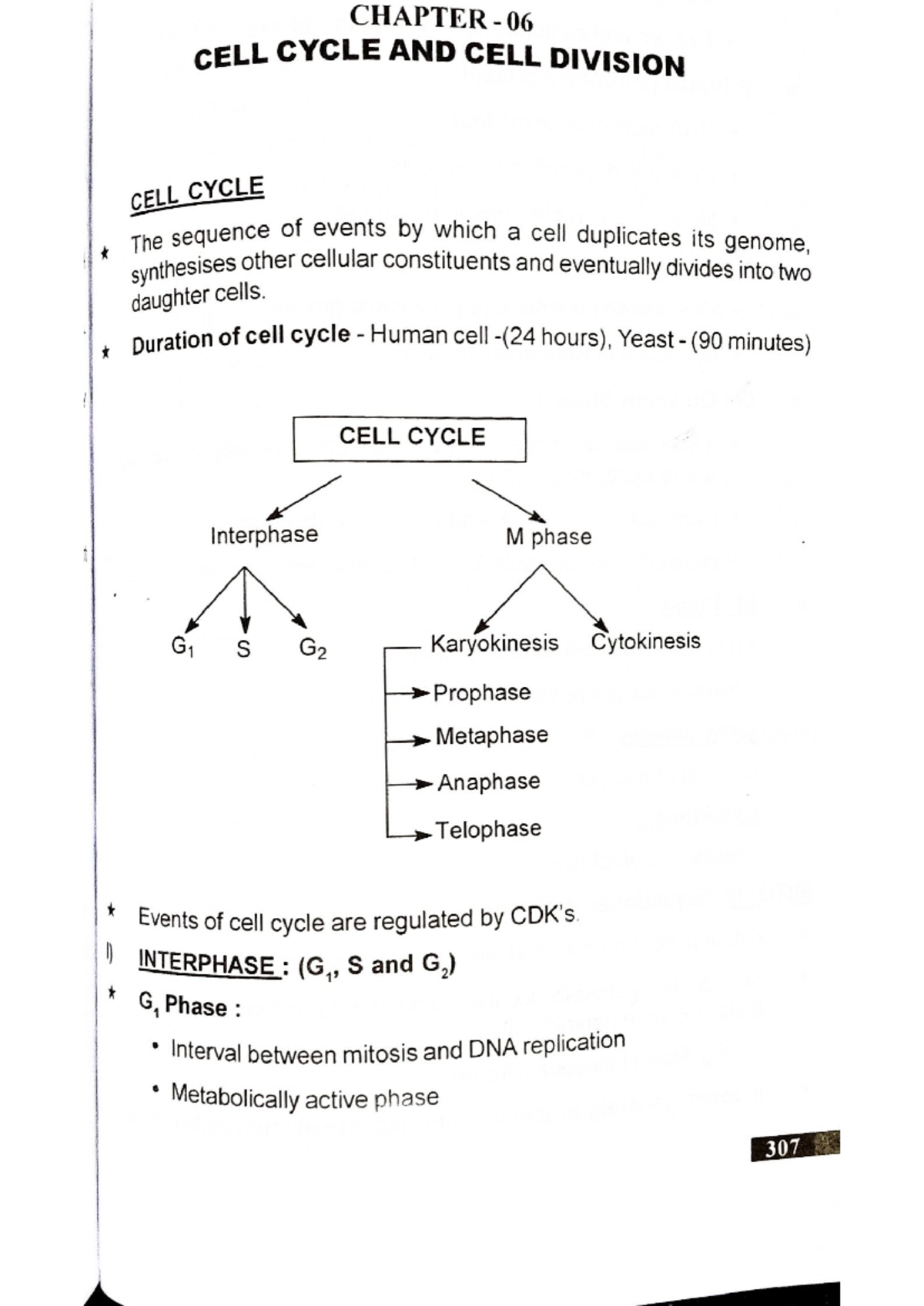 Neet-botany-Cell cycle and cell division (brain pointer) - CHAPTER 06 CELL CYCLE AND CELL ...