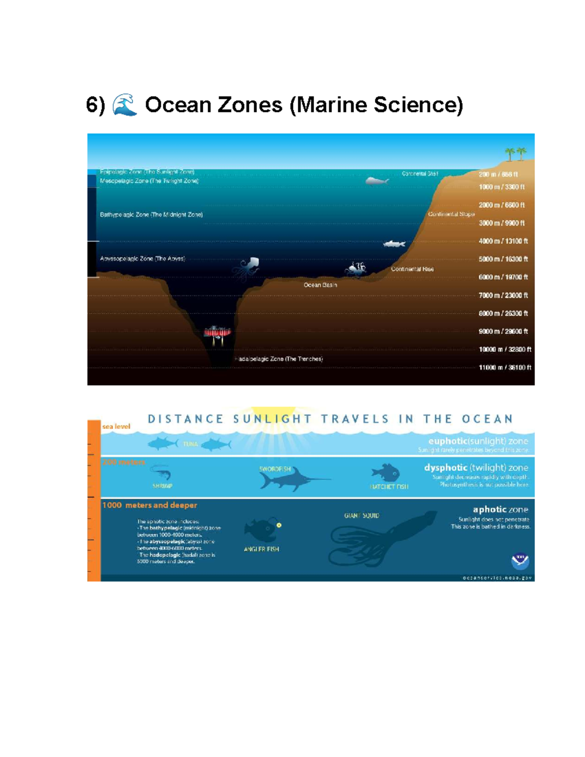 Ocean zones - notes good for random majors, kindly analyze and study ...