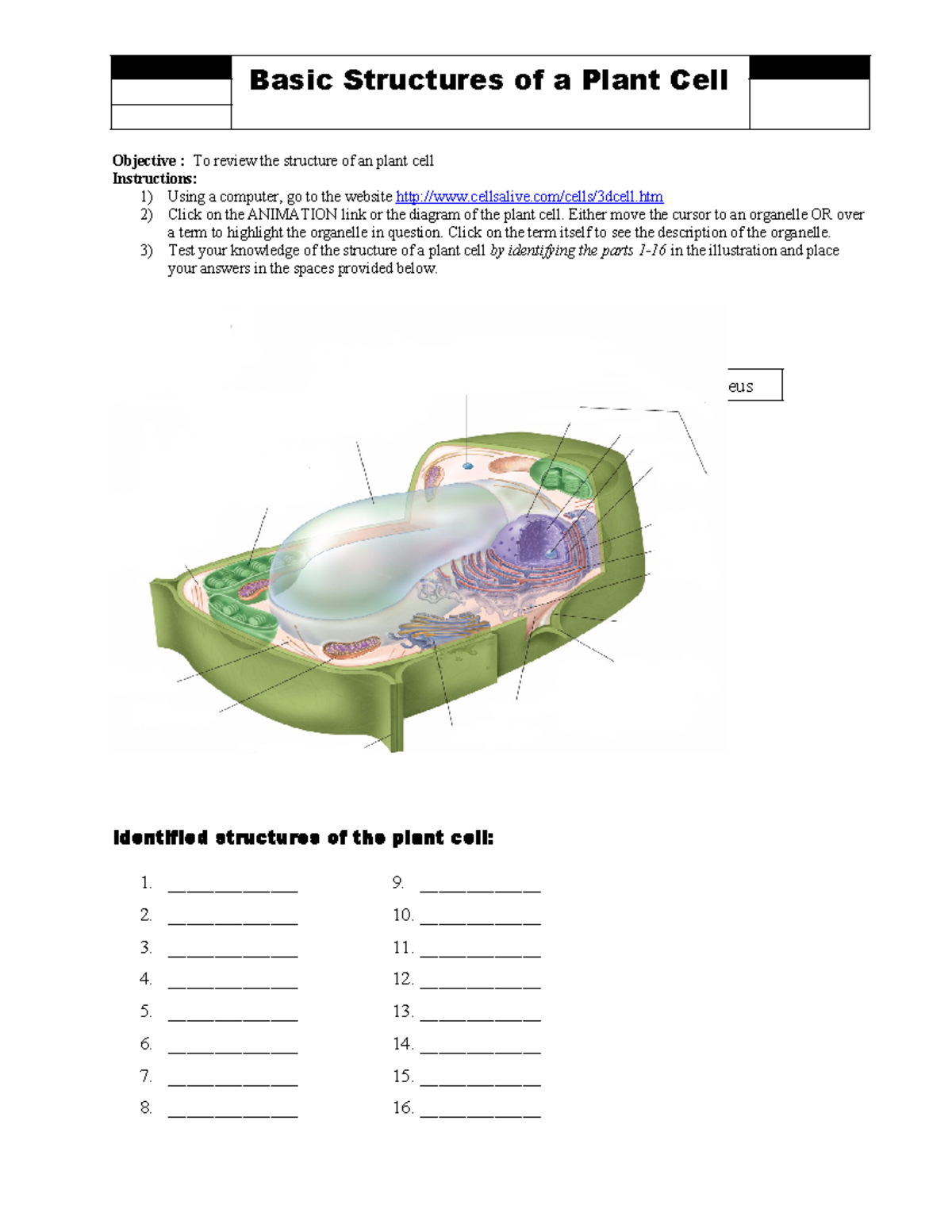 WS 101: Plant Cell Structure Review and Identification Guide - Studocu