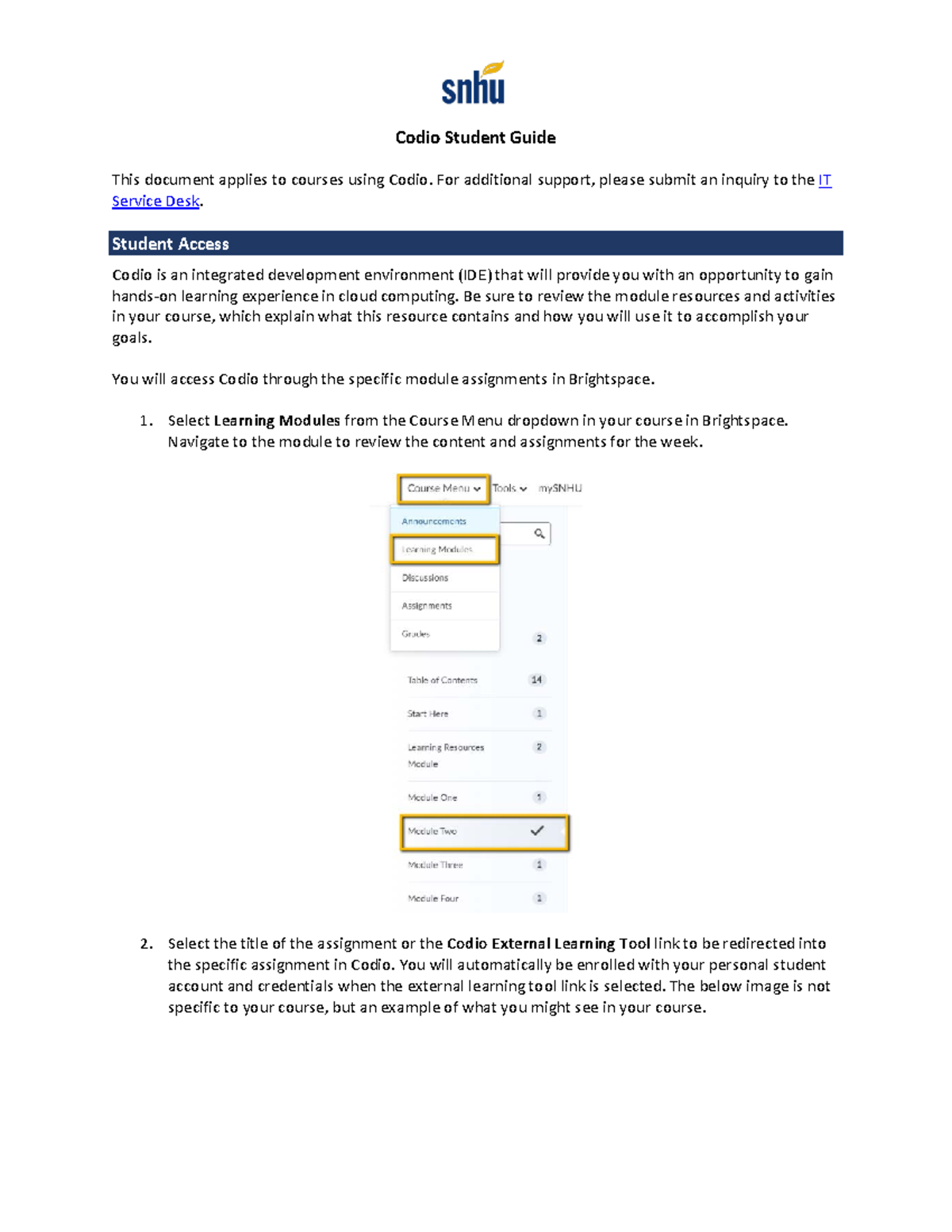 Codio Student Guide for DAD Course - Access, Assignments, and Support ...