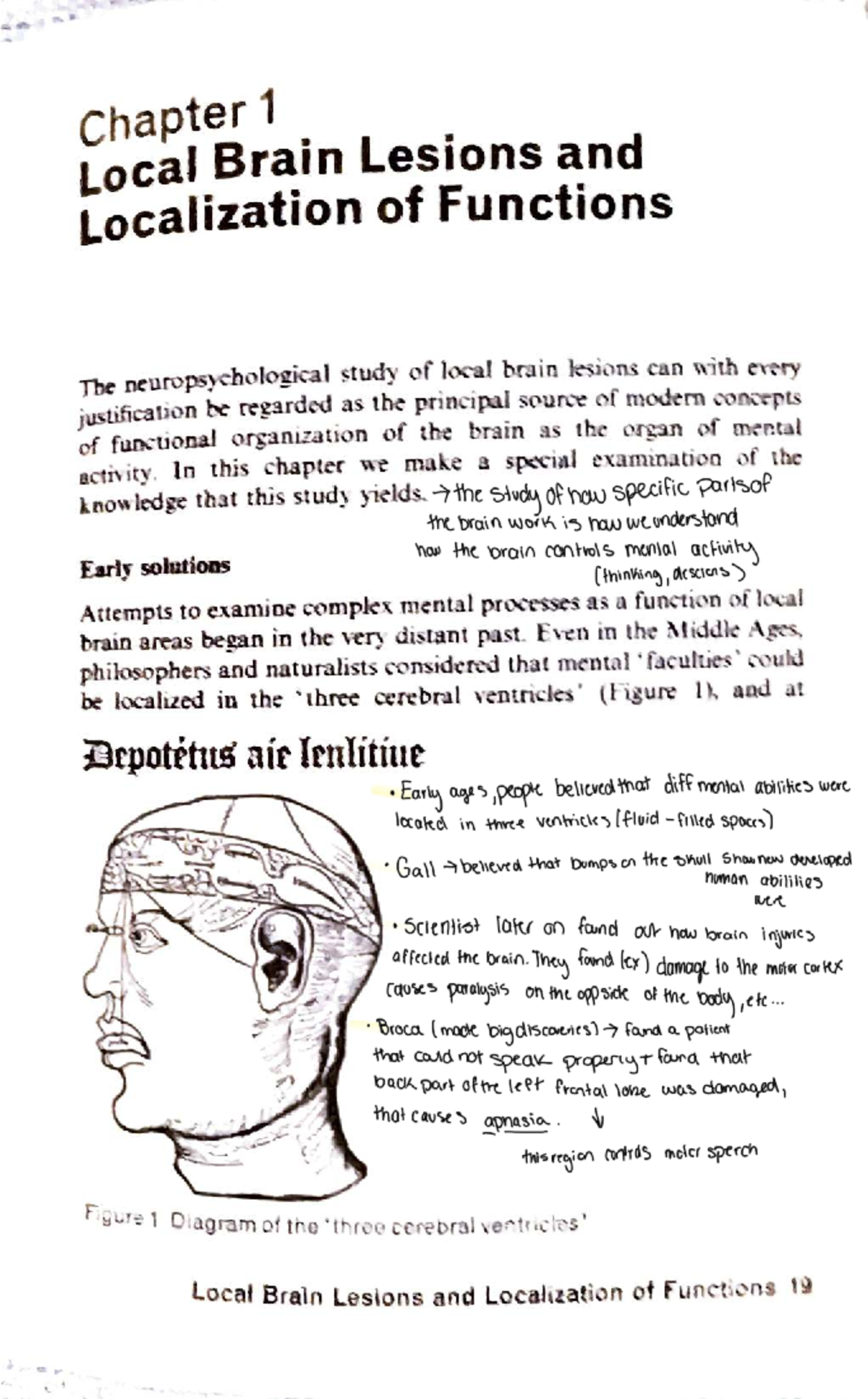Chapter 1: Local Brain Lesions and Functional Localization in ...