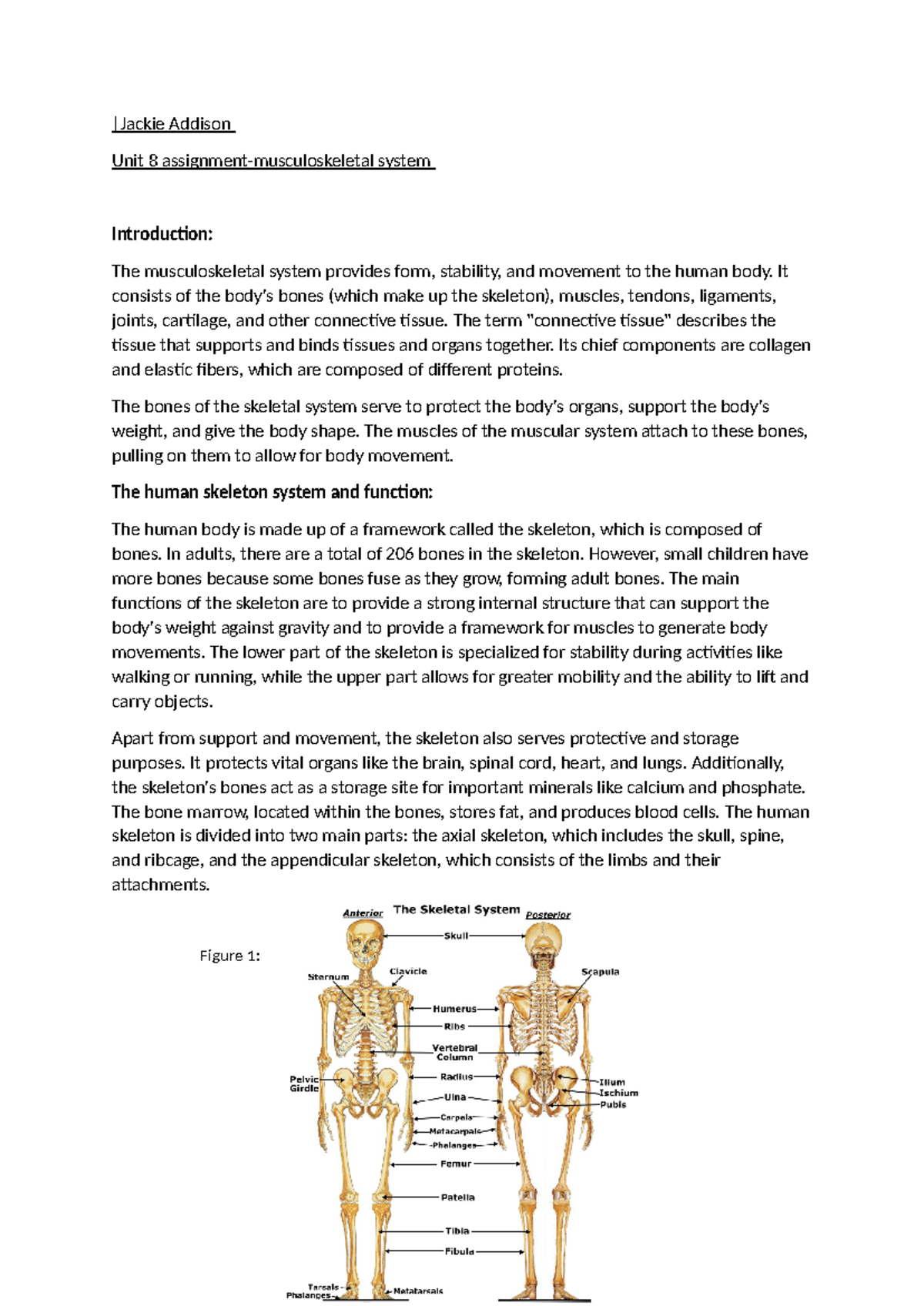 Dr M Unit 8 assignment-musculoskeletal system - |Jackie Addison Unit 8 ...