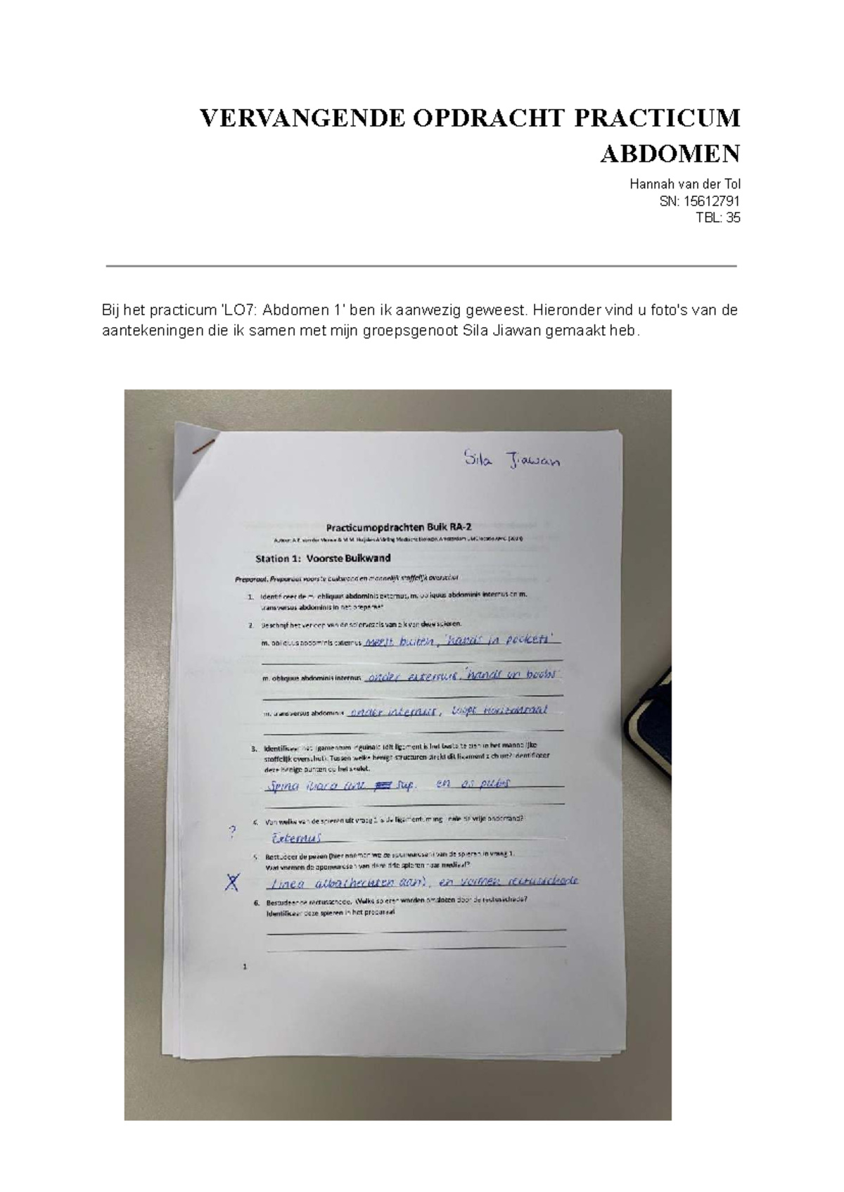 Practicum Abdomen Vervangende Opdracht - Hannah van der Tol - Studeersnel