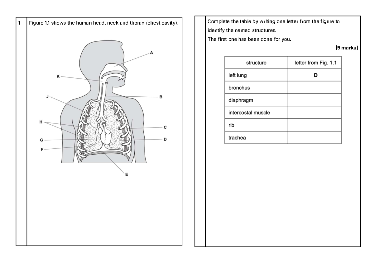 Year 8 Unit 1 - 3 Biology & Physics Revision Test - Studocu