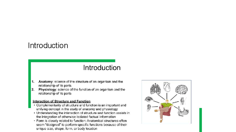 Intro to Human Body - Lecture Notes (BIO101) - Studocu