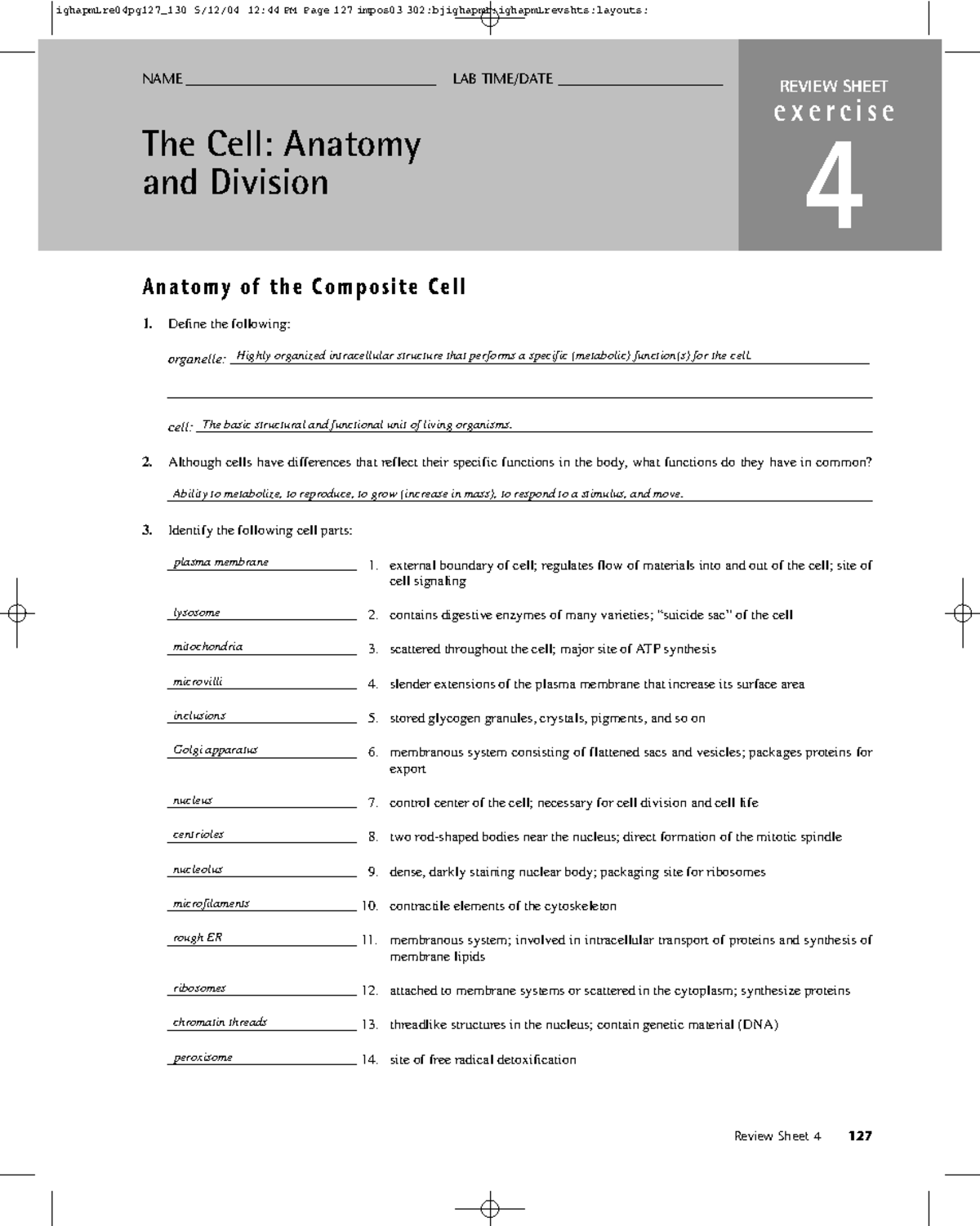 Cell mitosis - cell mitotsis - REVIEW SHEET exercise 4 The Cell ...