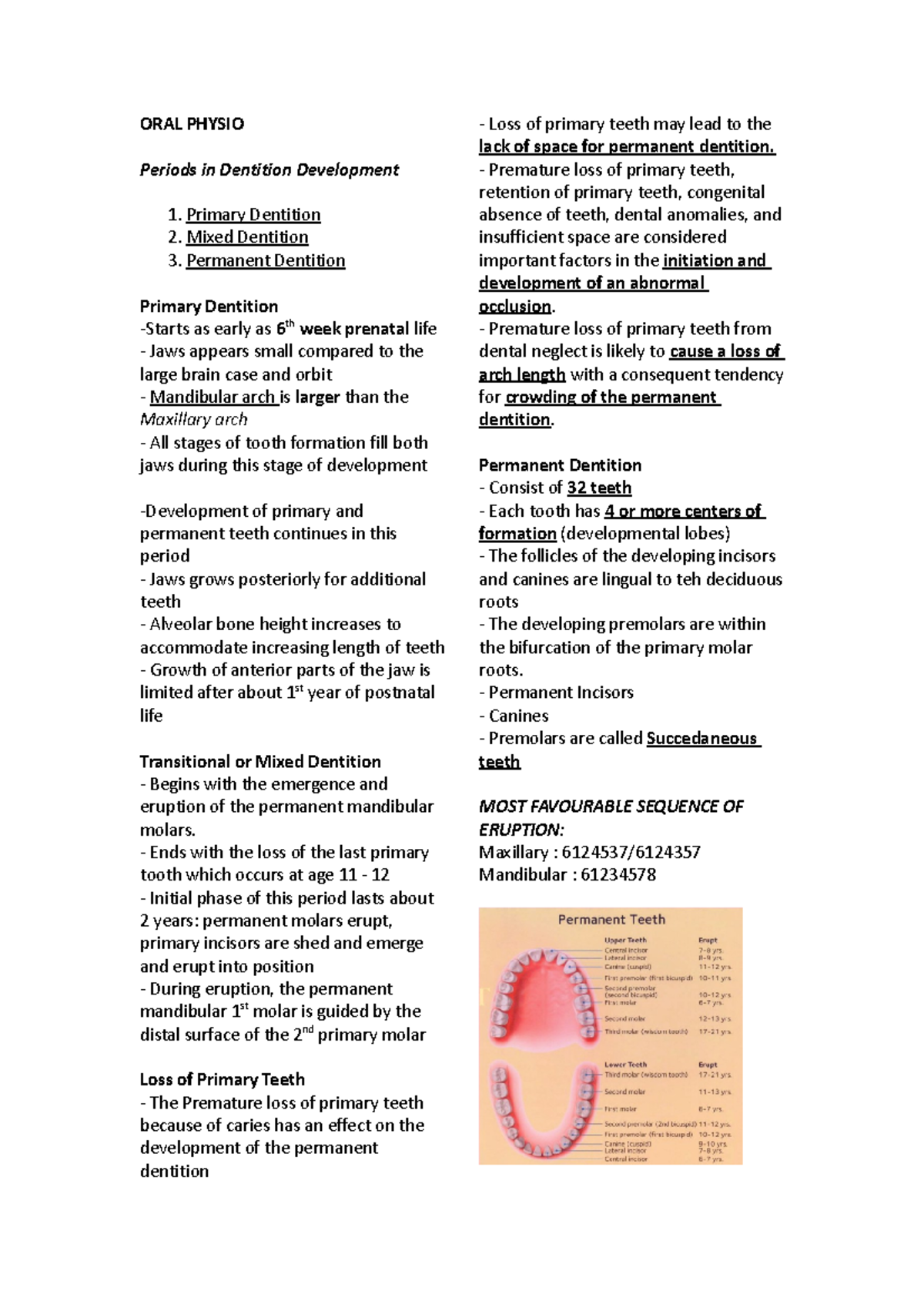 Dentition Development Stages: Insights for ORAL Physio Students - Studocu