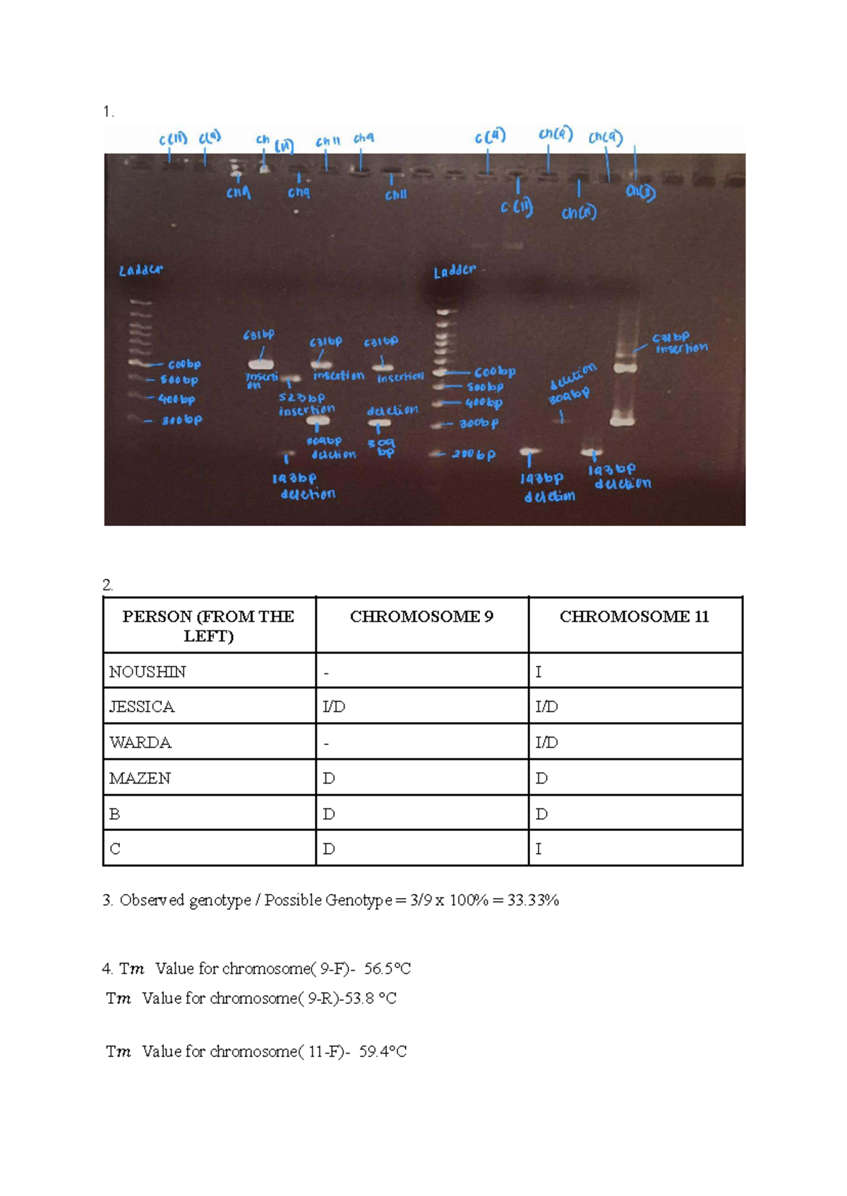 BMSC 240 LAB 10 - lab assignment - BMSC 240 - PERSON (FROM THE LEFT ...