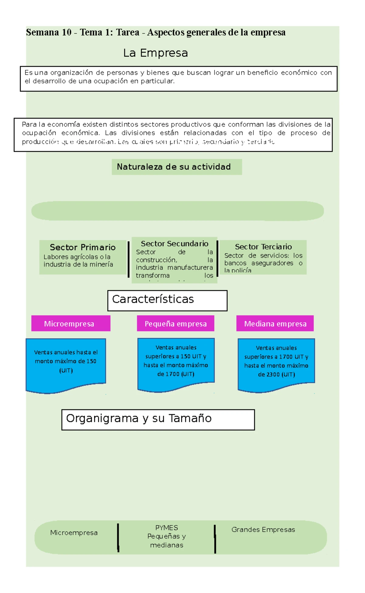 MAPA Mental DE LOS Principios DEL Proceso Laboral - copia - MAPA MENTAL ...