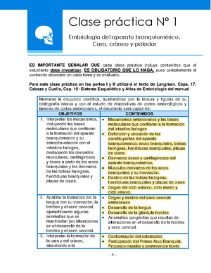 Embriogénesis temprana, diferenciación de las tres capas germinativas ...