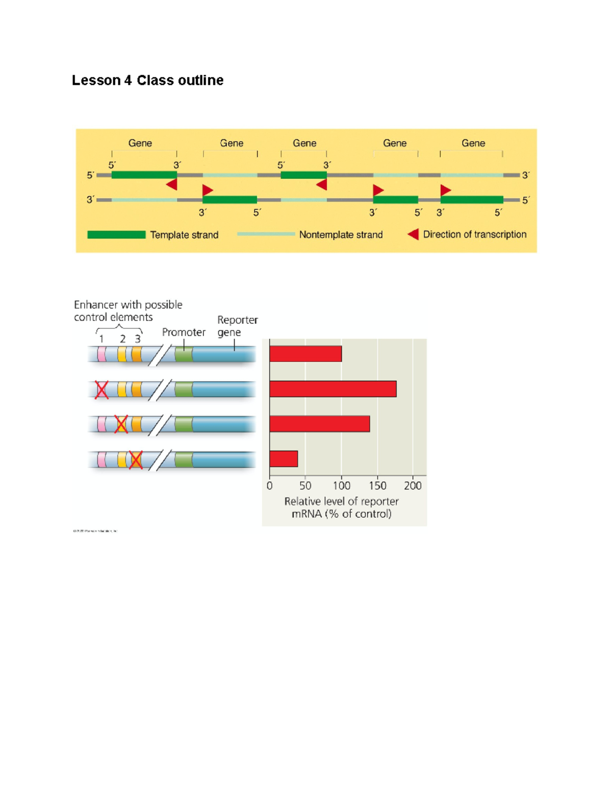 Genetic Mutations: Effects on Protein Structure and Function - BIOL 103 ...
