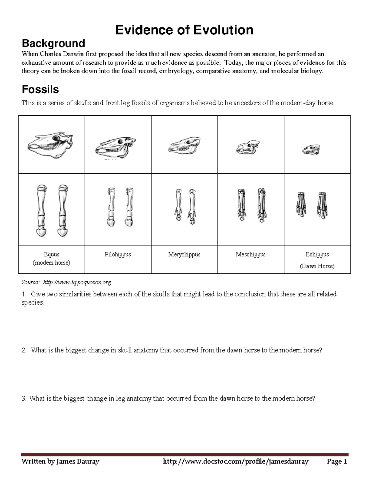 Jay Tang - Evidence-of-Evolution-packet - Written by James Dauray ...