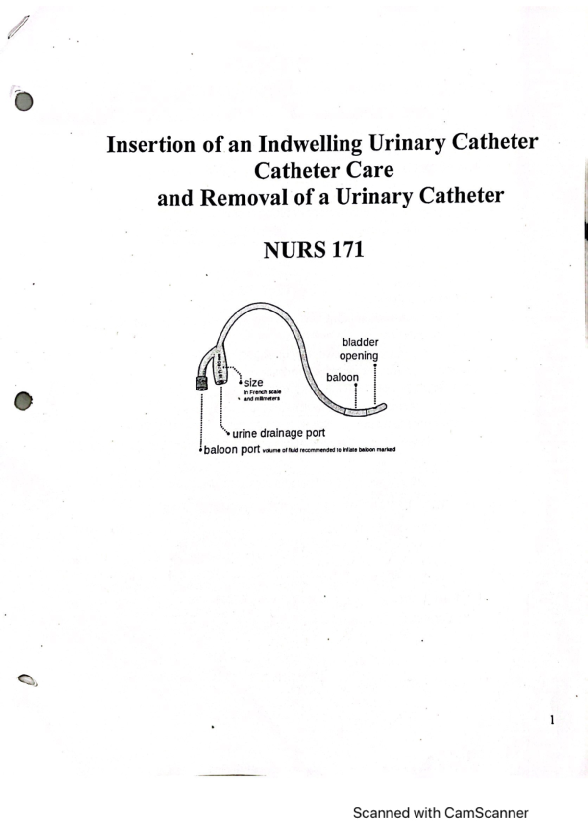 Nursing Insertion of an Indwelling - Insertion of an Indwelling Urinary ...