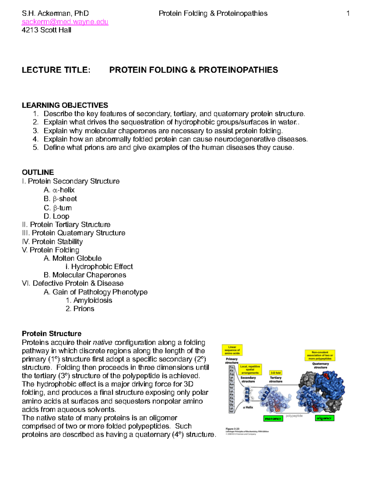 Protein Folding & Proteopathies Lecture Notes (HBFI 2021) - Studocu
