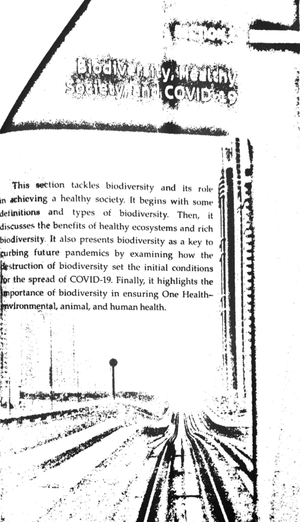 The-Philippine-Rice-Share-Tenancy-Act 1 - The Philippine Rice Share ...