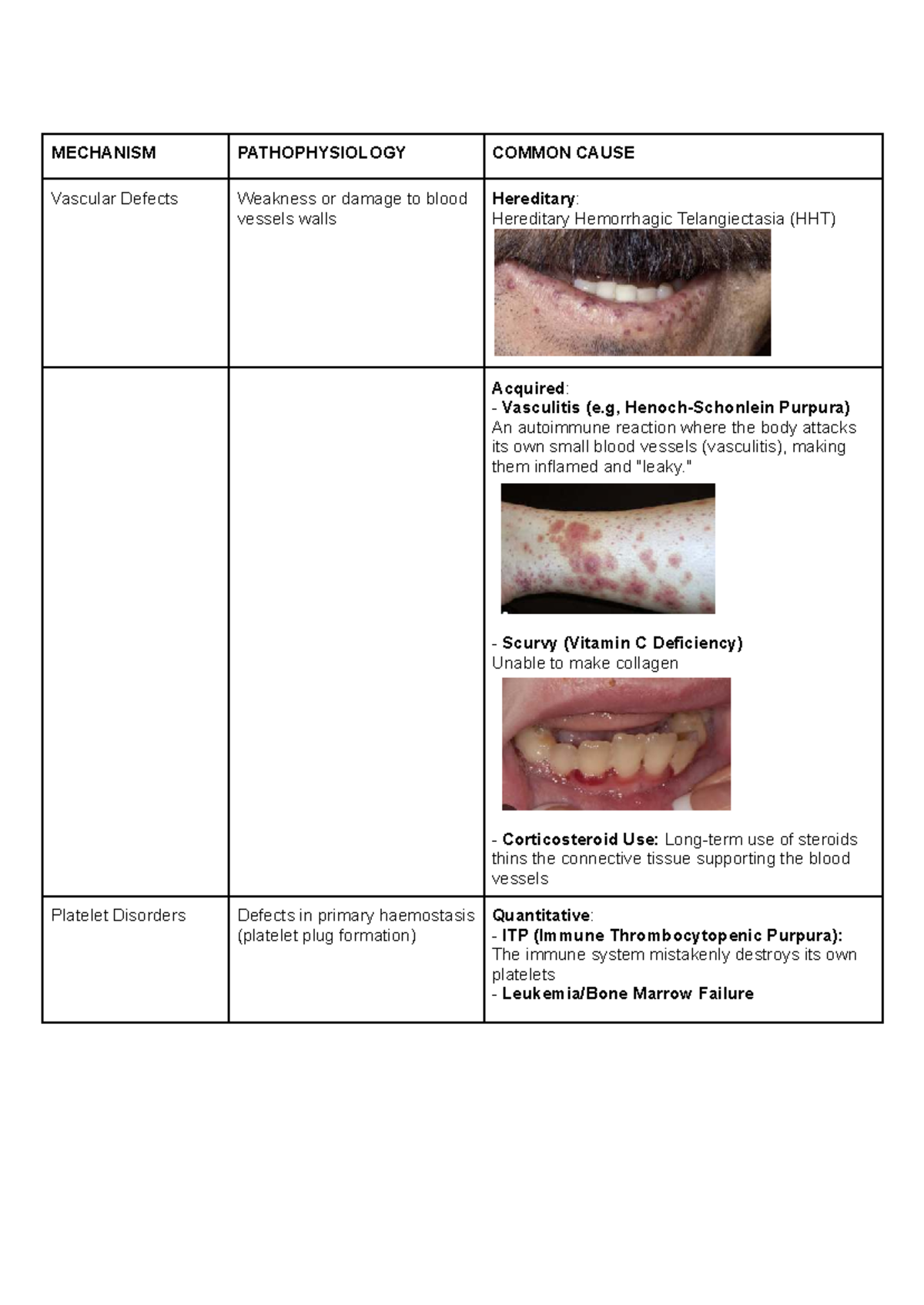 CL4 Bleeding Disorders: Mechanisms & Pathophysiology Overview - Studocu