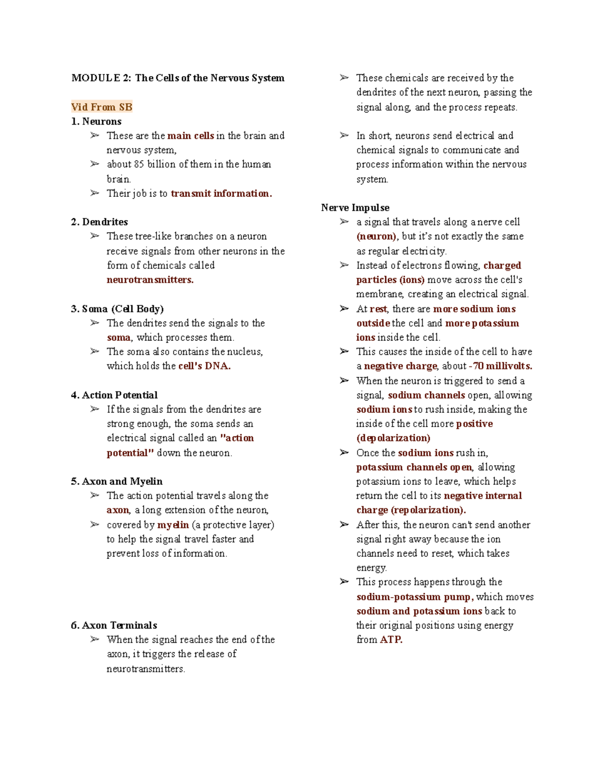 Physiological Psychology Module 2 - MODULE 2: The Cells of the Nervous ...