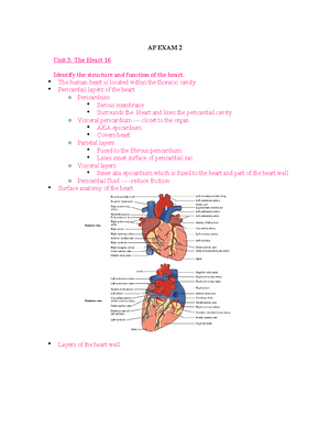 [Solved] Categorize the following cranial nerves motor sensorial or ...