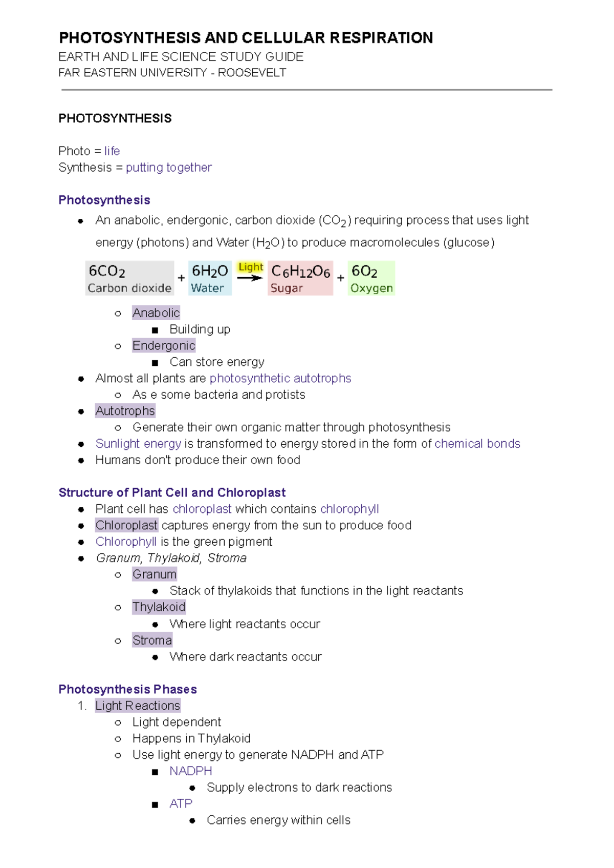 PHLS 101: Study Guide on Photosynthesis & Cellular Respiration - Studocu