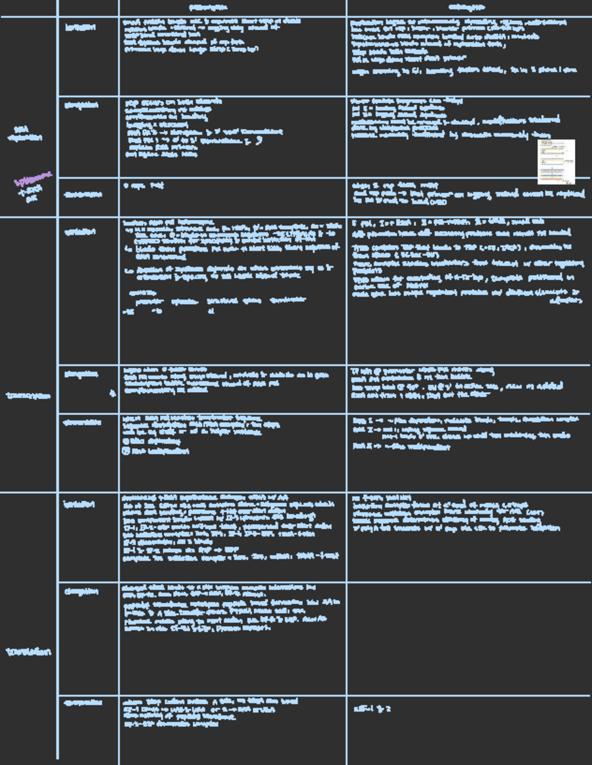 Transcription vs Translation: Key Mechanisms and Processes in DNA ...