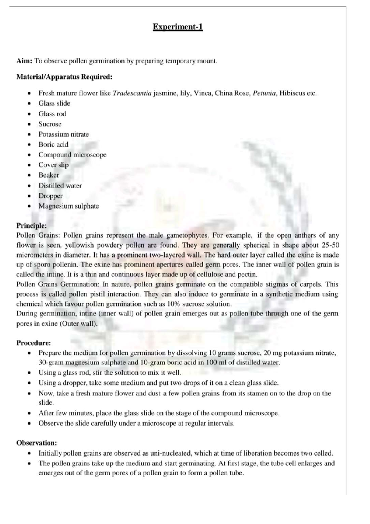 Biology Practical Class XII: Pollen Germination & Mitosis Observations ...