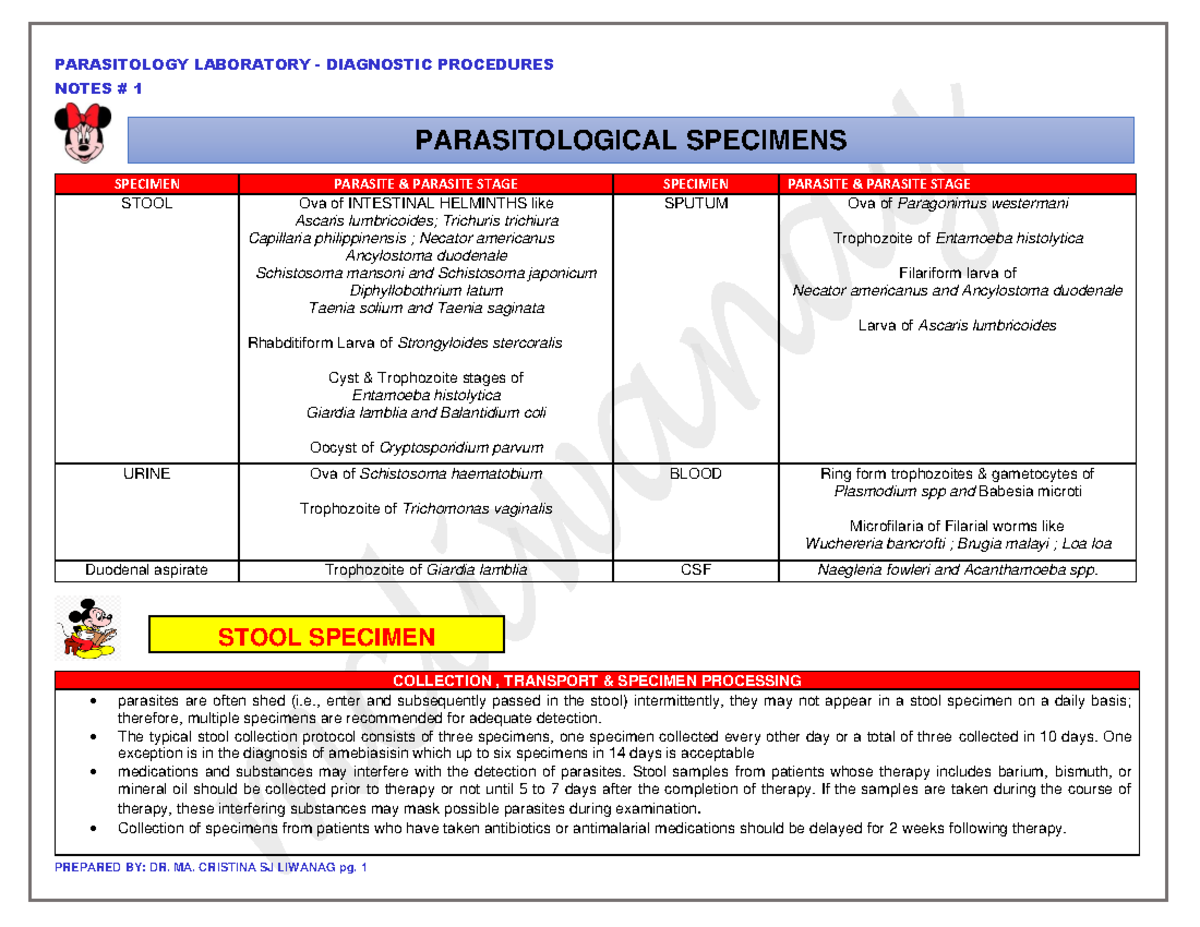 PARA LAB Diagnostics # 1 - Copy(1) 250126 181227 - NOTES # 1 SPECIMEN ...